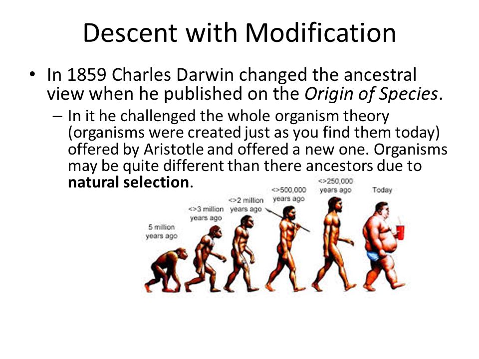 Descent With Modification Definition Descent With Modification Definition