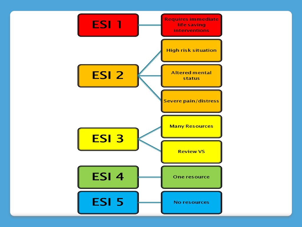Esi Triage Badge Buddy For Er Nurses 43 Off