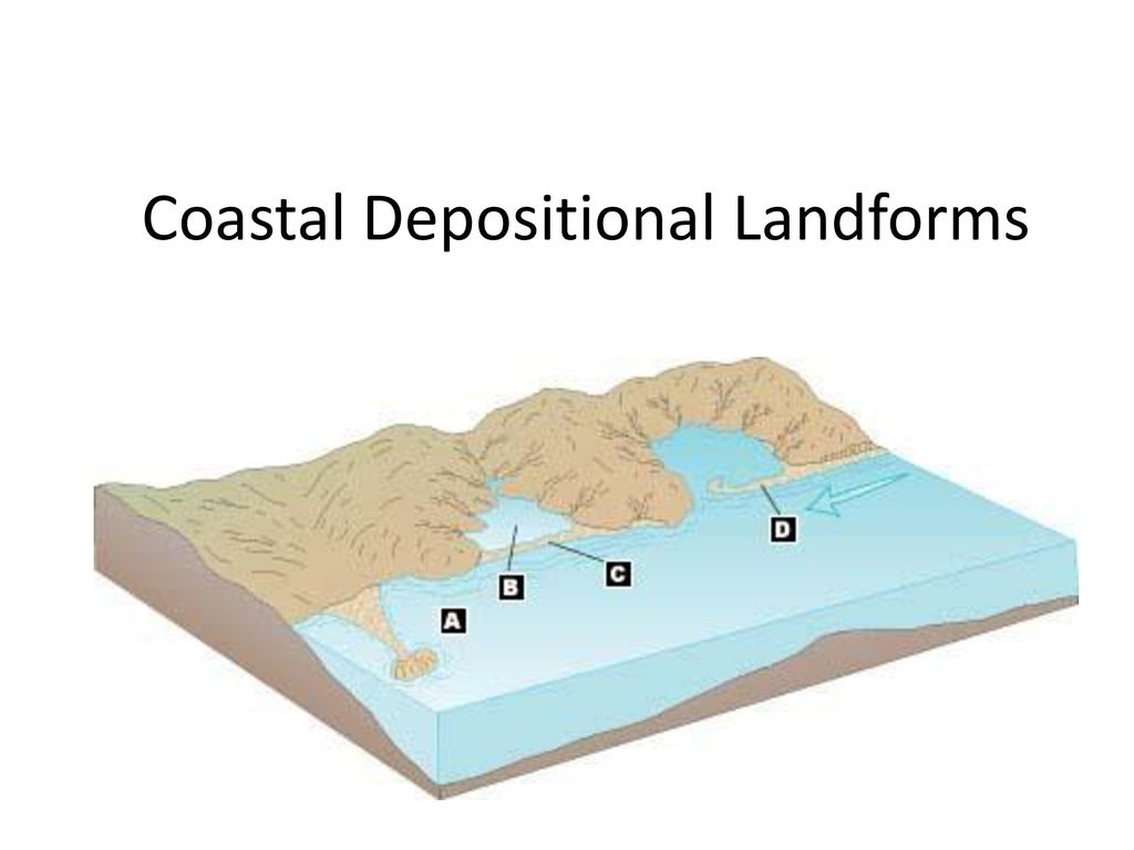 Depositional Landforms Depositional Landforms