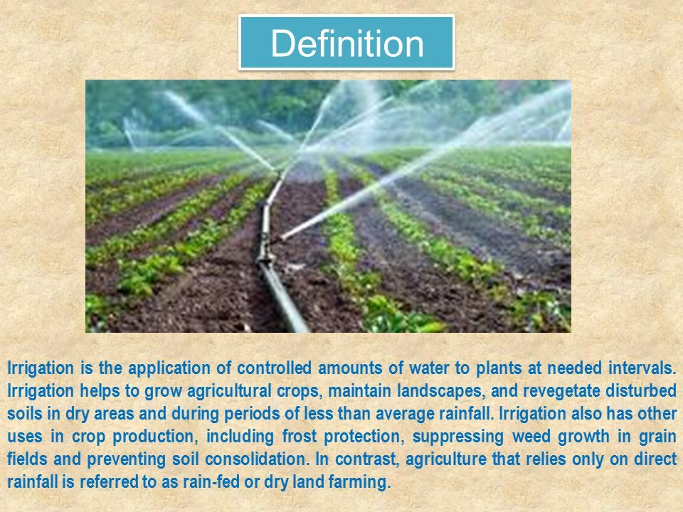 Smart Quiz Basket Definition Of Drip Irrigation