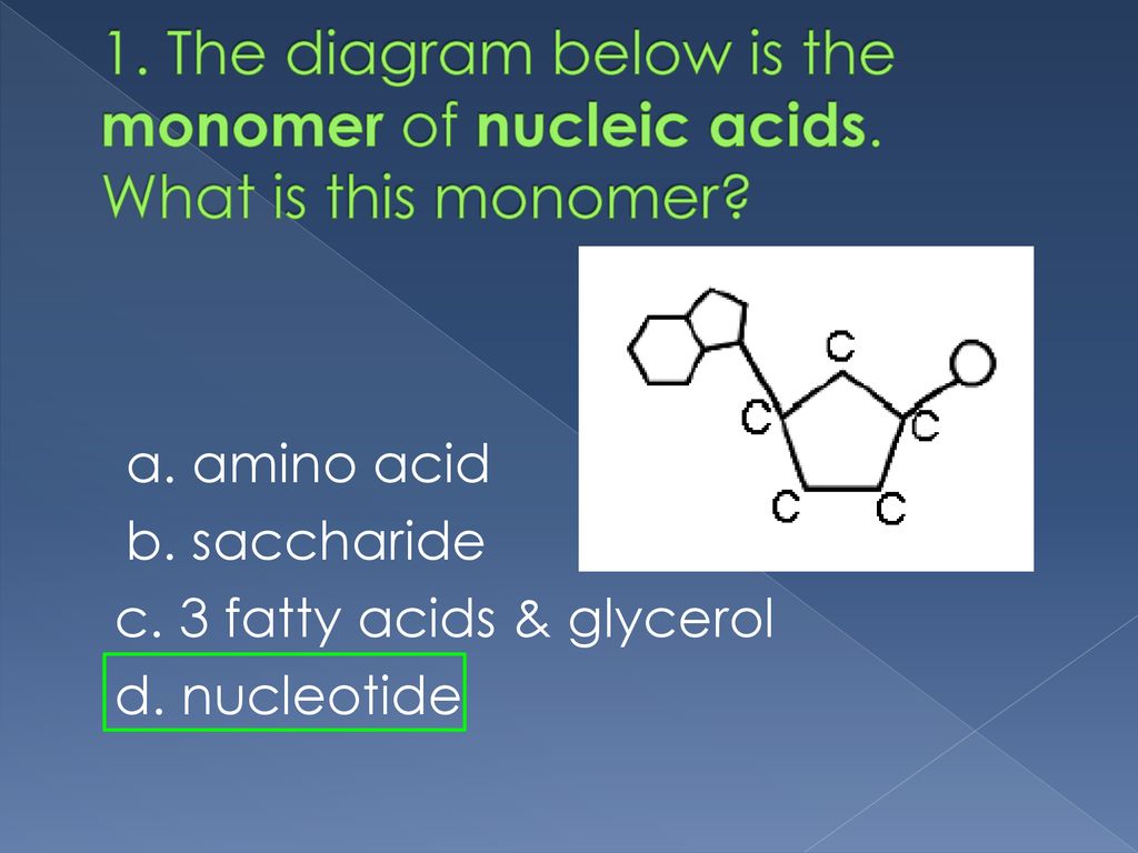 Monomer Of Nucleic Acids