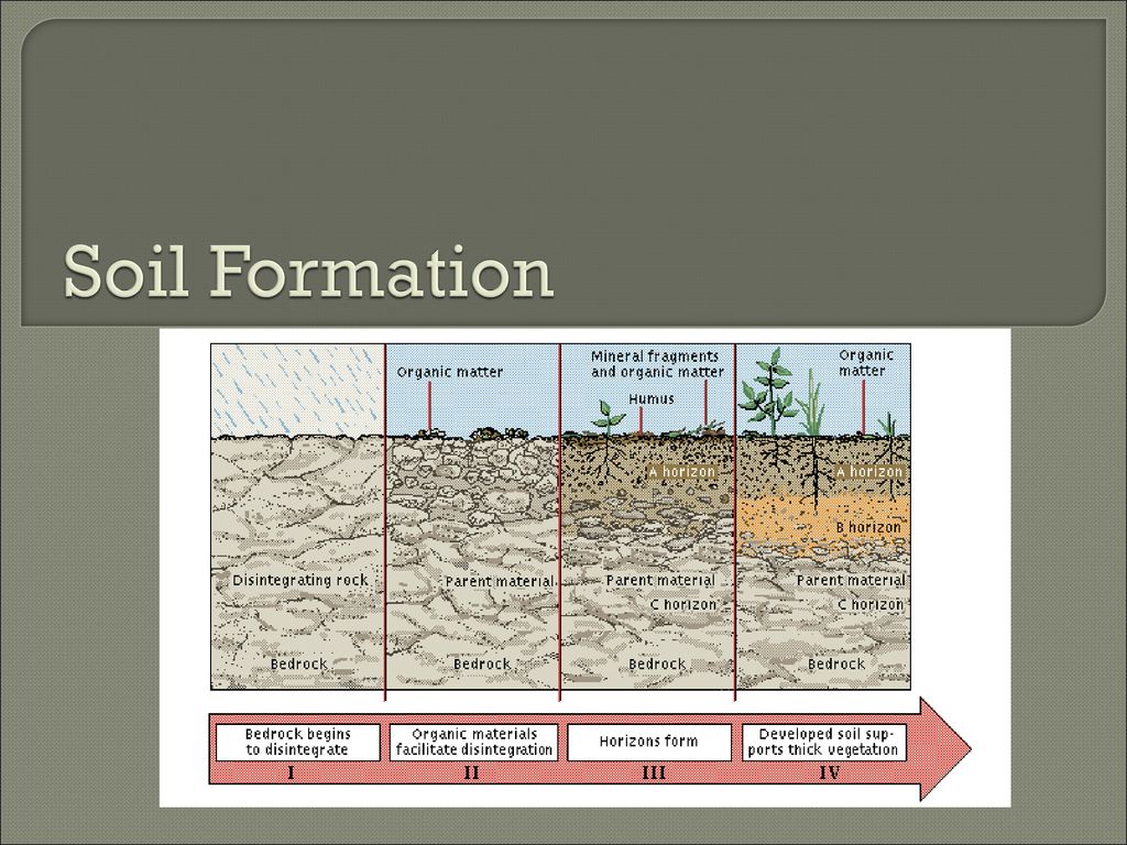 Soil Formation Soil Profile, Classification And FAQs, 41% OFF Soil Formation Soil Profile, Classification And FAQs, 41% OFF