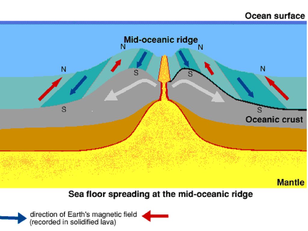 Continental Drift And Seafloor Spreading Notes Ppt Download