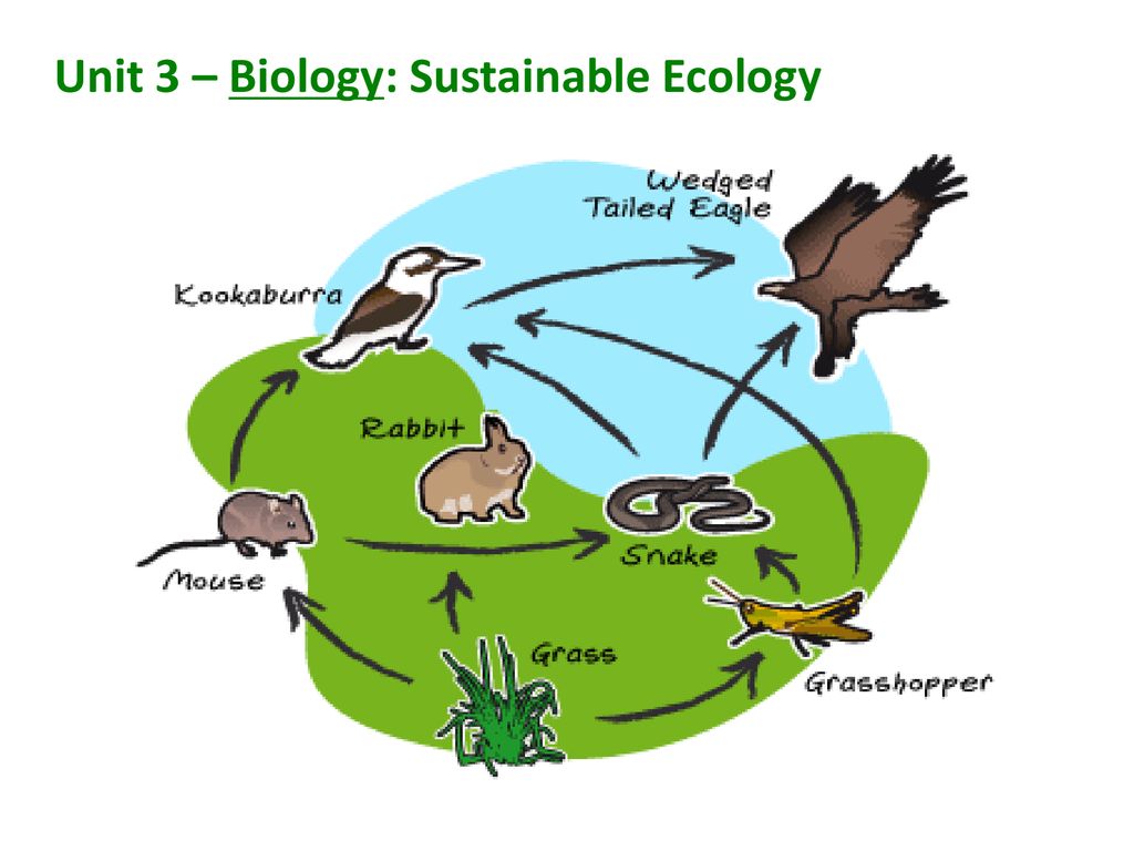 Ecology Definition, Types Examples Video Lesson Transcript , 56% OFF Ecology Definition, Types Examples Video Lesson Transcript , 56% OFF