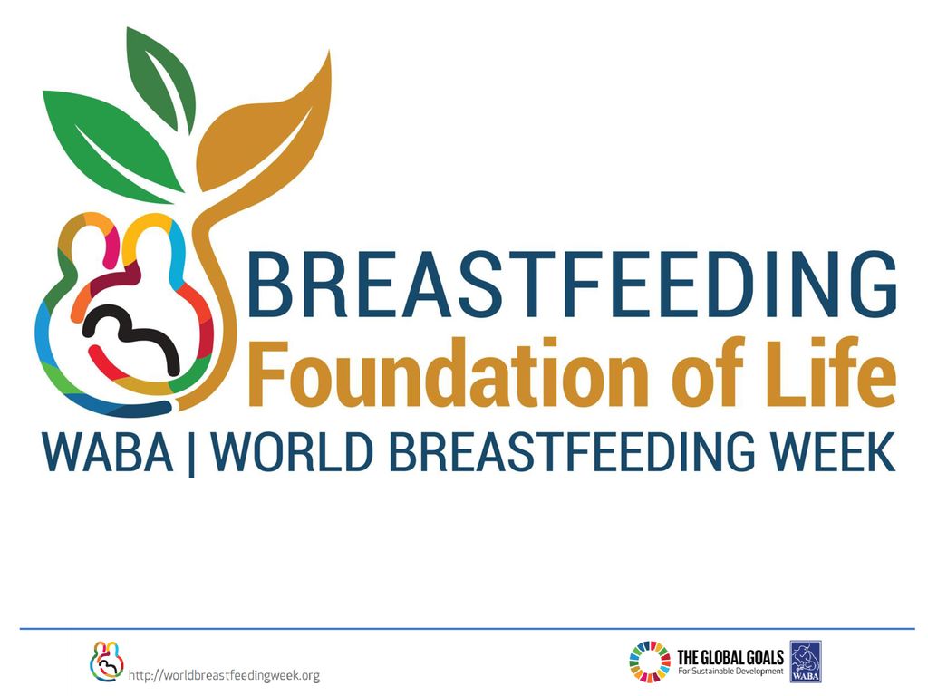 Introduction The World Alliance For Breastfeeding Action Waba Was