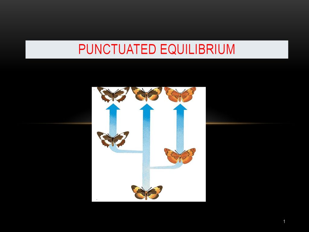 Punctuated Equilibrium Definition Punctuated Equilibrium Definition