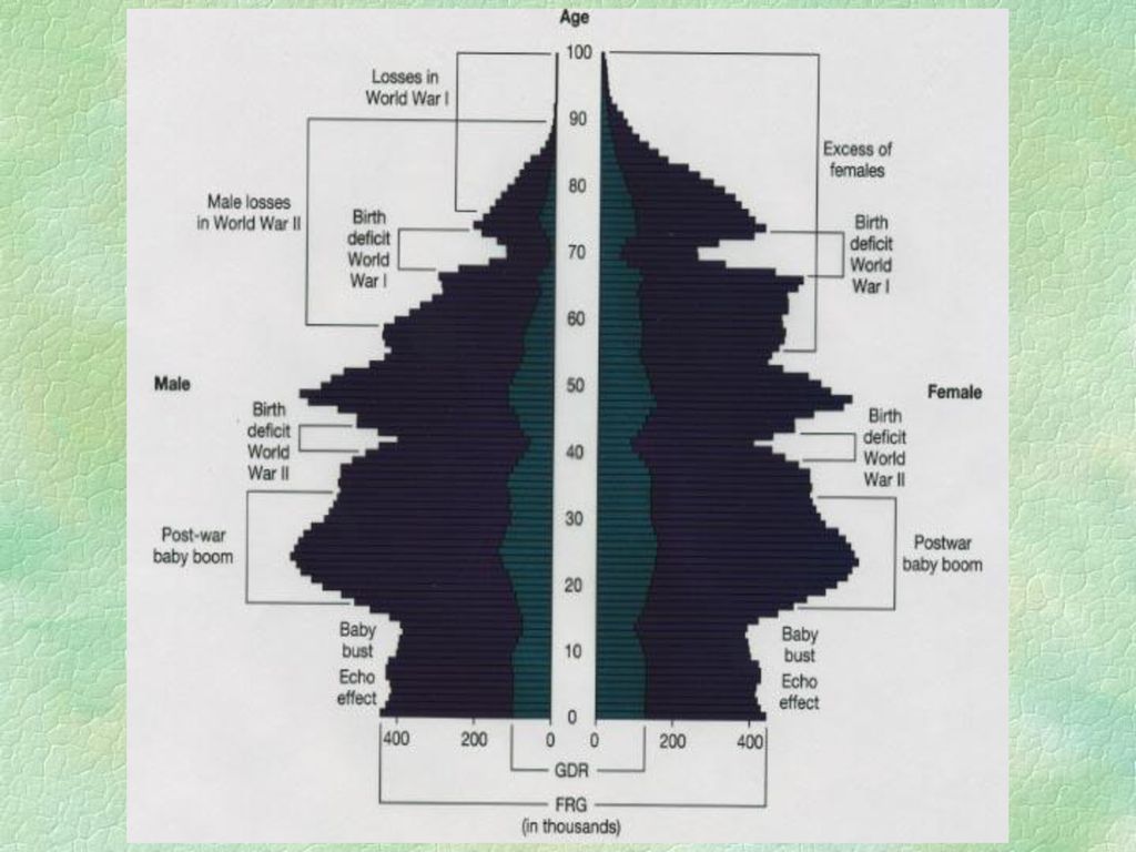 Population Pyramids And The Demographic Transition Ppt Download