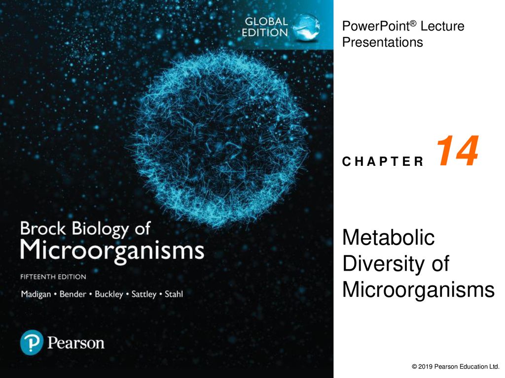 Ppt Microbial Diversity Powerpoint Presentation Id6312461 Ppt Microbial Diversity Powerpoint Presentation Id6312461