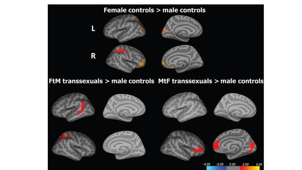 Opening Questions What Kinds Of Things Are Considered Masculine Ppt