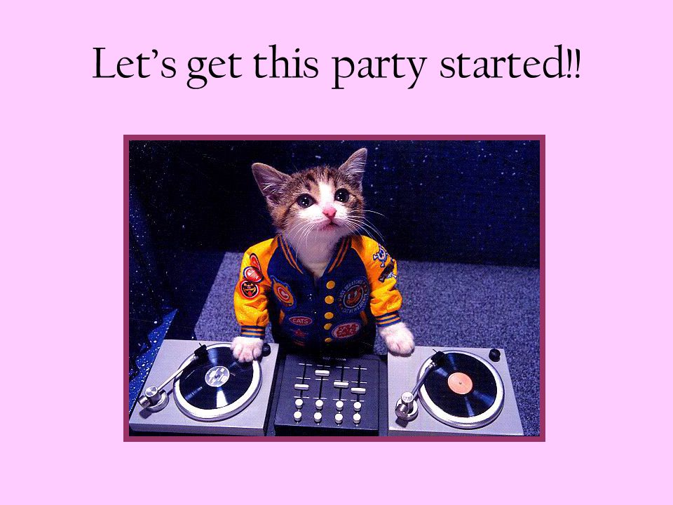 Let's Get The Party Started – Telegraph Let's Get The Party Started – Telegraph