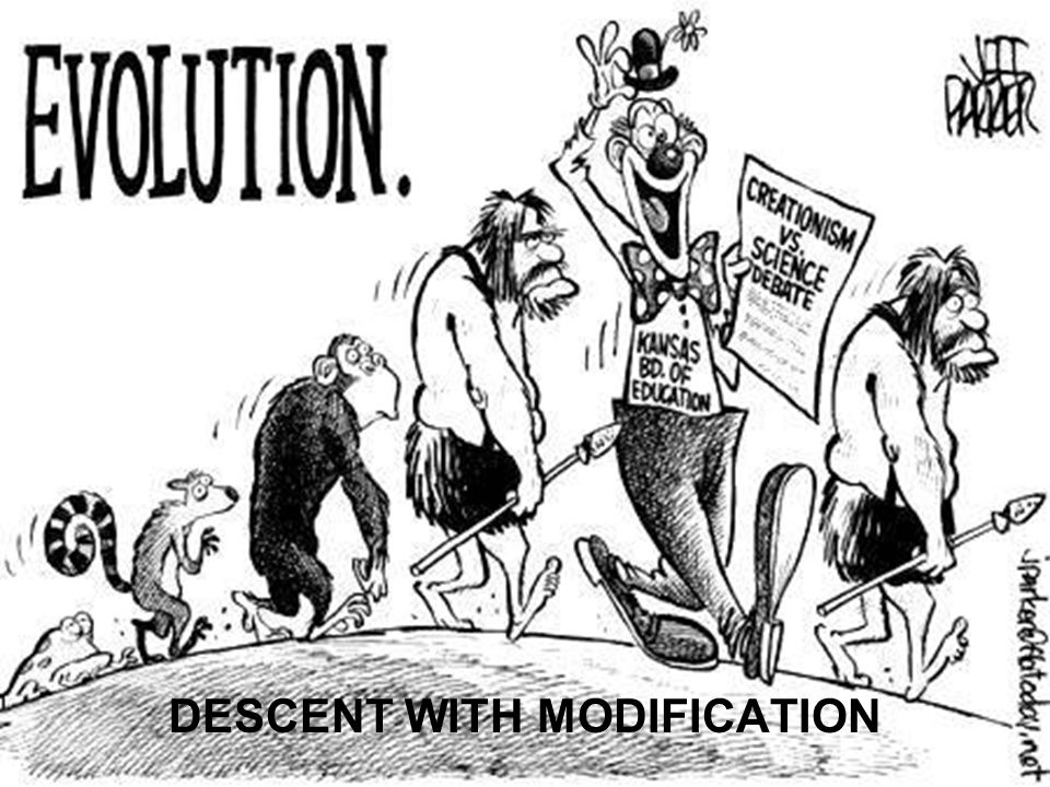 Descent With Modification Definition Descent With Modification Definition