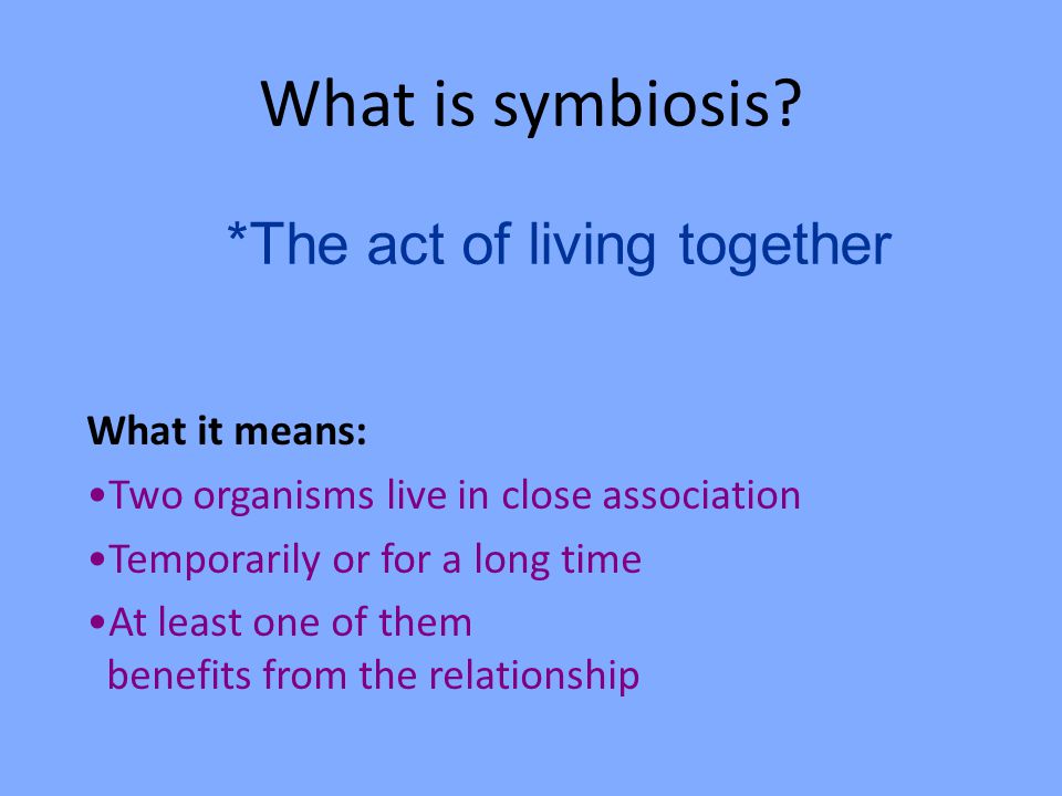 What is symbiosis What it means Two organisms live in close association Temporarily or for a long time At least one of them benefits from the relationship. ppt download