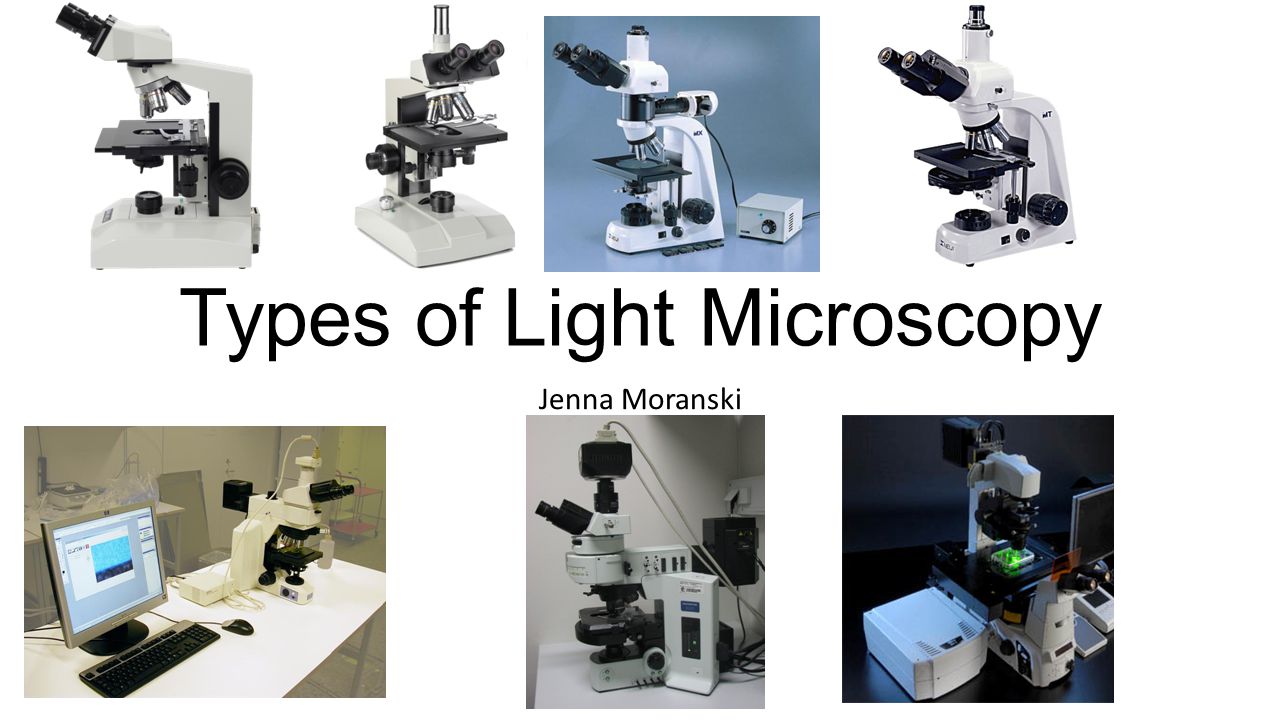 Light Microscope- Definition, Principle, Types, Parts,, 43% OFF Light Microscope- Definition, Principle, Types, Parts,, 43% OFF