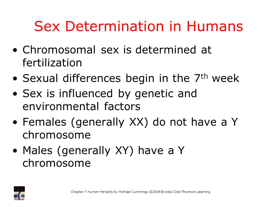 Ppt Sex Pics Slide Shows Telegraph