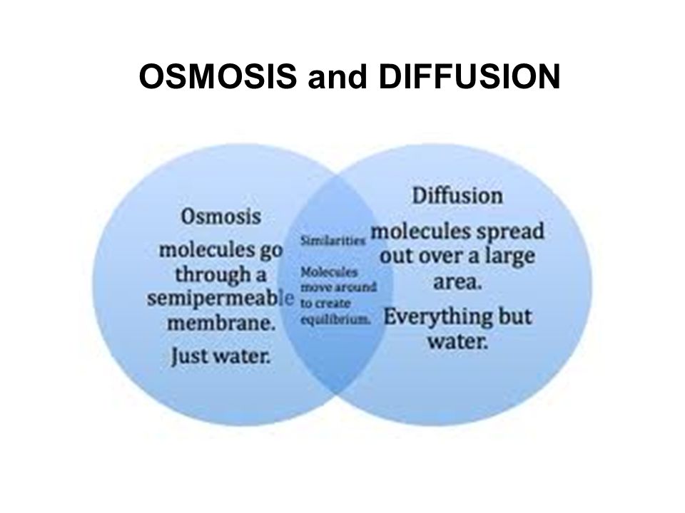 Osmosis And Reverse Osmosis Difference Between Osmosis And, 50% OFF Osmosis And Reverse Osmosis Difference Between Osmosis And, 50% OFF