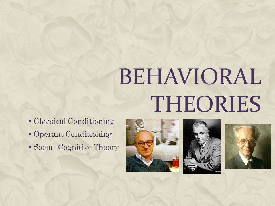 Classical Cognitive Theory | atelier-yuwa.ciao.jp Classical Cognitive Theory | atelier-yuwa.ciao.jp