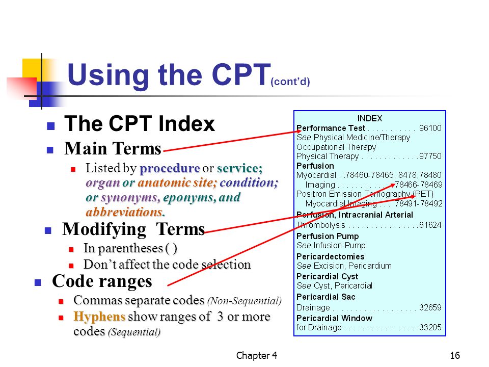 HCPCS CPT: Key Differences, Pros Cons, Examples Difference, 48% OFF
