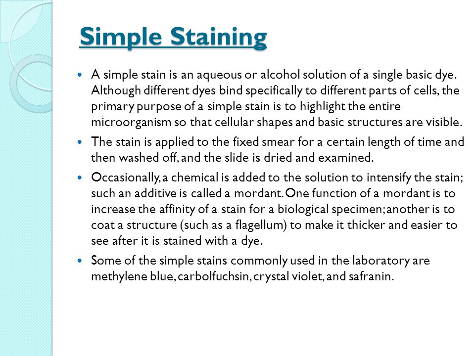 Staining In Microbiology Meaning, Types Techniques Video, 41% OFF Staining In Microbiology Meaning, Types Techniques Video, 41% OFF