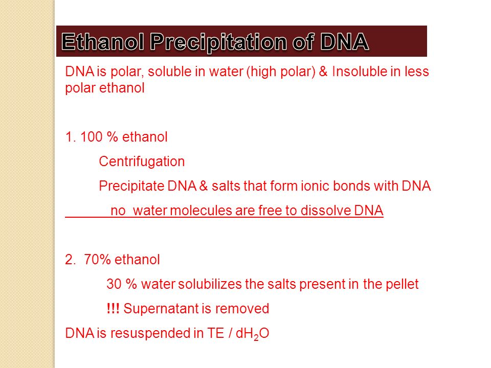 Why Cold Ethanol For Dna Precipitation at James Messner blog Why Cold Ethanol For Dna Precipitation at James Messner blog