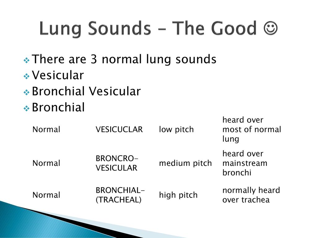 Basic lung sounds Basic lung sounds
