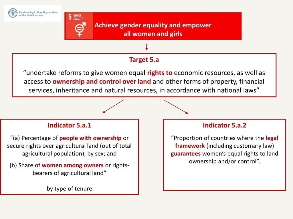 Womens Land Rights In The Post 2015 Development Agenda Ppt Download