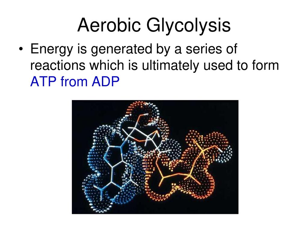 Cellular Respiration Ppt Download