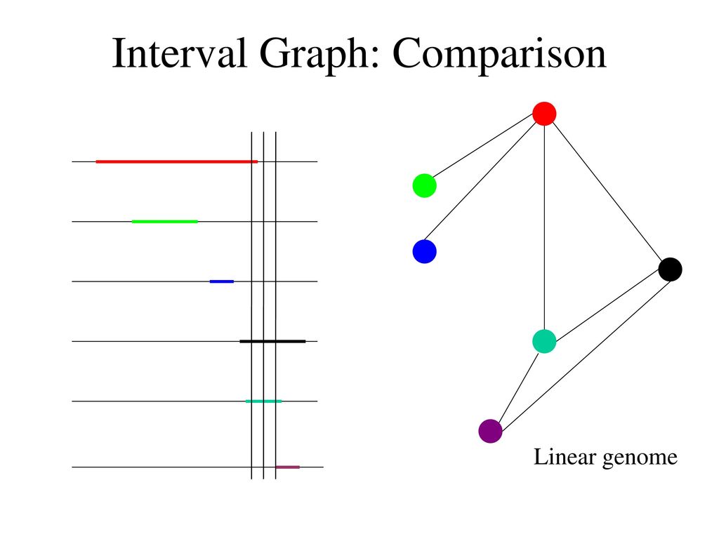 Graph Algorithms © Jones And Pevzner © Robert Simons Ppt Download