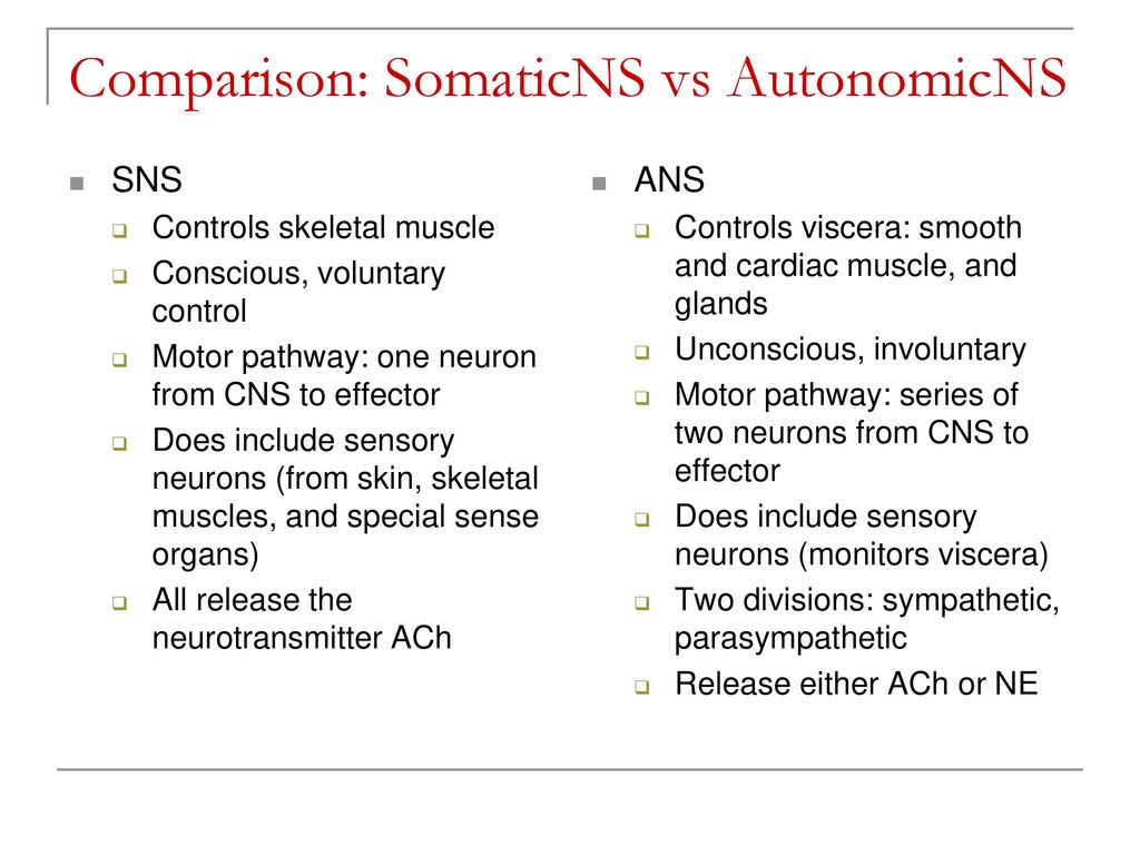 Somatic And Autonomic Nervous System Comparison