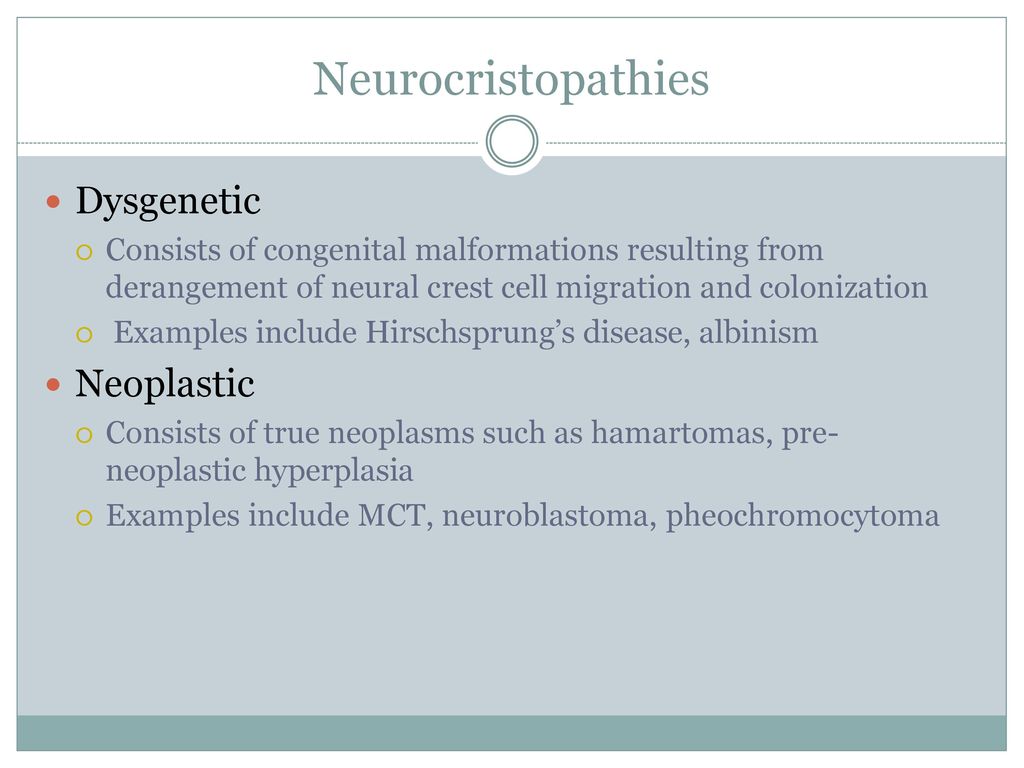 Hirschsprungs Disease And Other Neurocristopathies Ppt Download