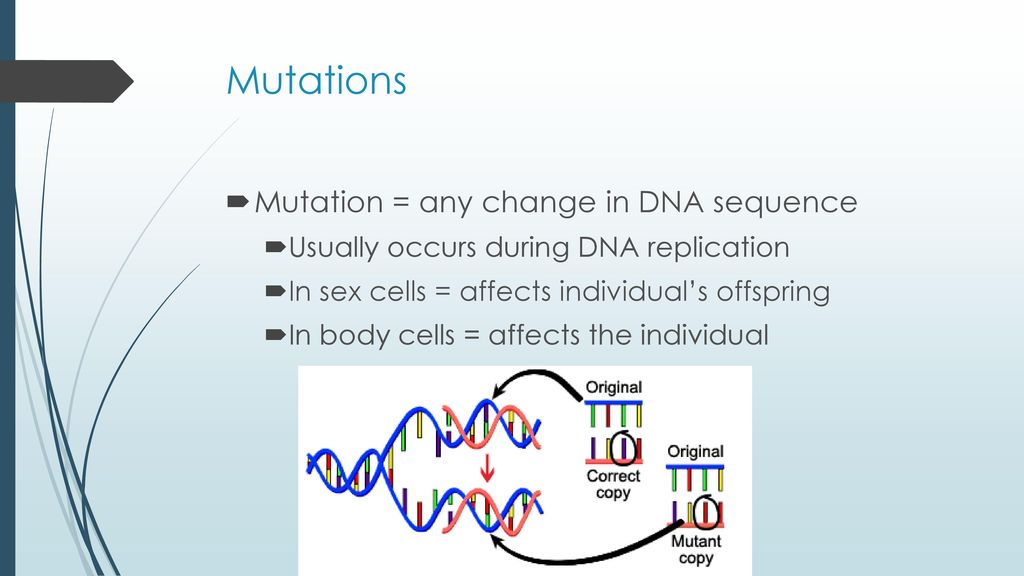 Gene Expression And Regulation And Mutations Ppt Download