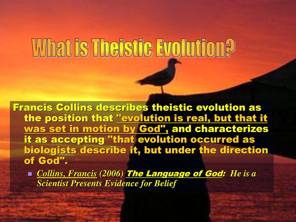 What Is Theistic Evolution Ppt Download