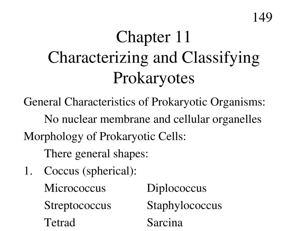 149 Chapter 11 Characterizing and Classifying Prokaryotes - ppt download 149 Chapter 11 Characterizing and Classifying Prokaryotes - ppt download