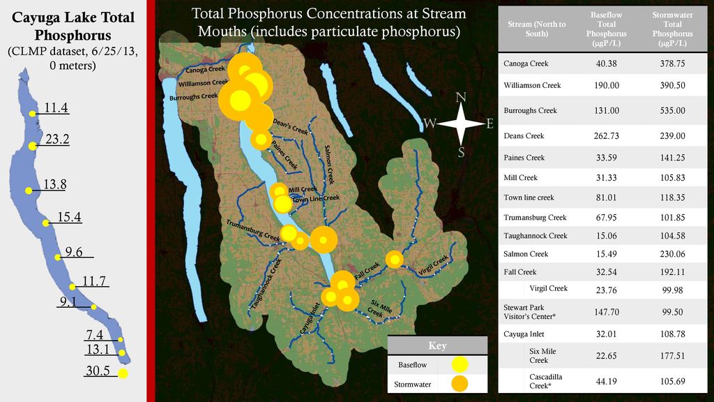 Brief Overview of Water Quality in the Cayuga Lake Watershed - ppt download