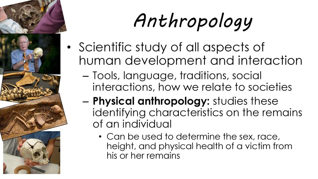 Forensic Anthropology Ppt Download