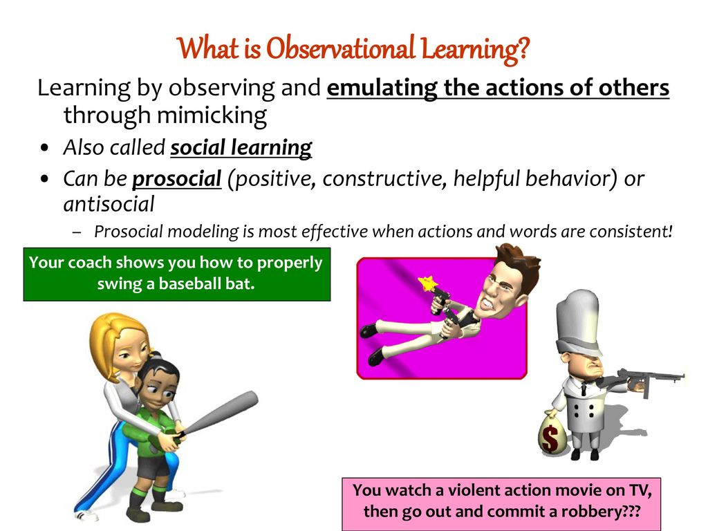 What Is The Difference Between Observational Learning And Modeling at ... What Is The Difference Between Observational Learning And Modeling at ...