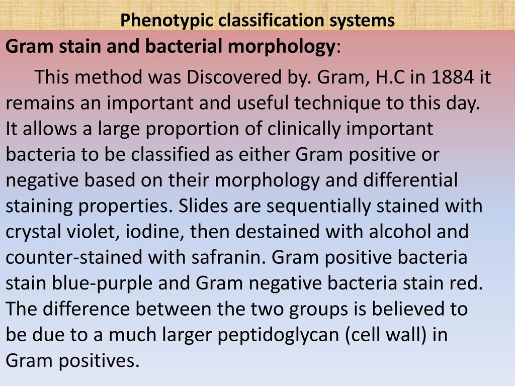 Bacterial Classification The Second Lecture Ppt Download