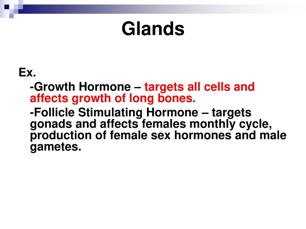 Regulation Biology Unit Ppt Download