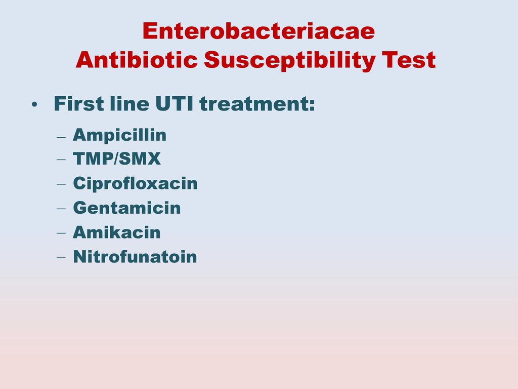 Microbiology Practical Class Ppt Download