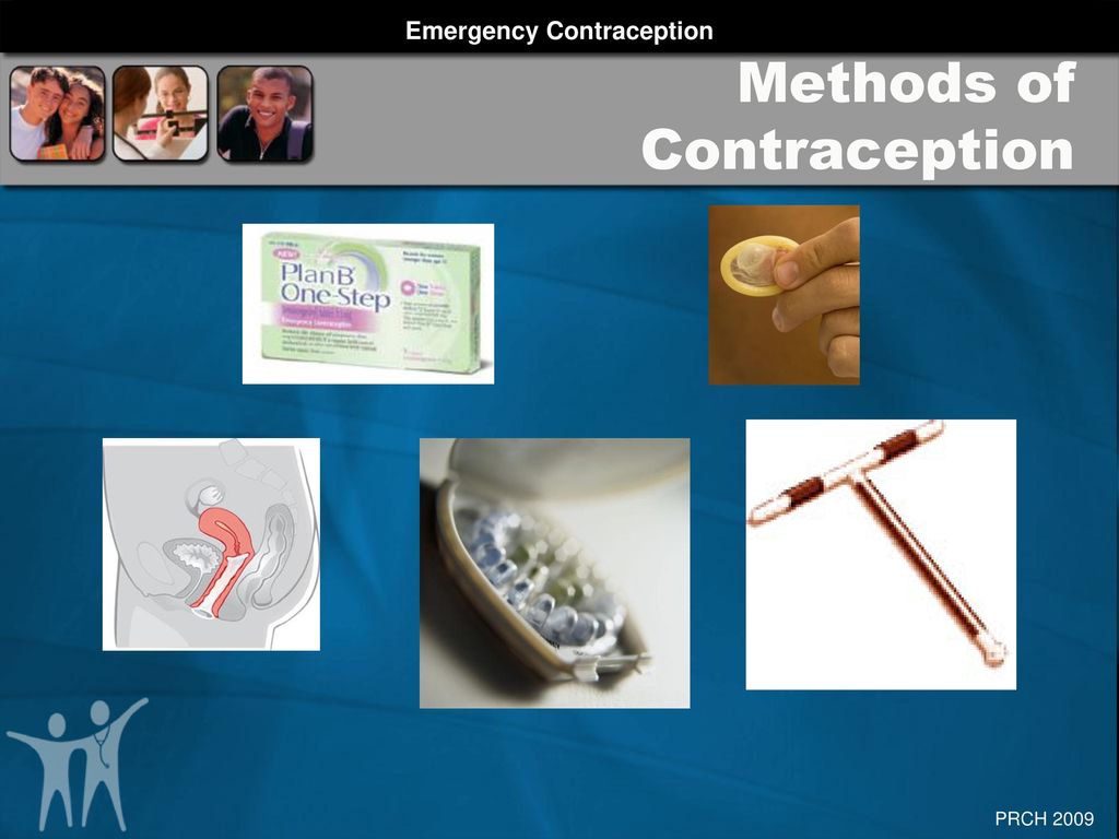 Describe The Path The Egg Takes Each Month Ppt Download