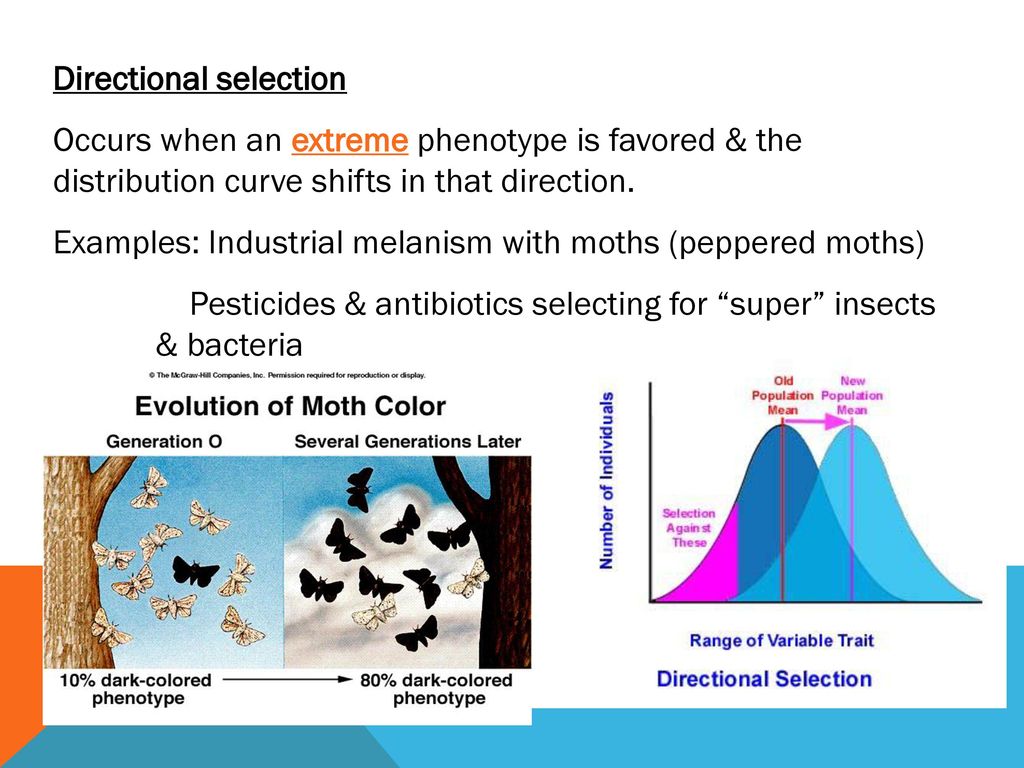 Directional Selection Definition Directional Selection Definition