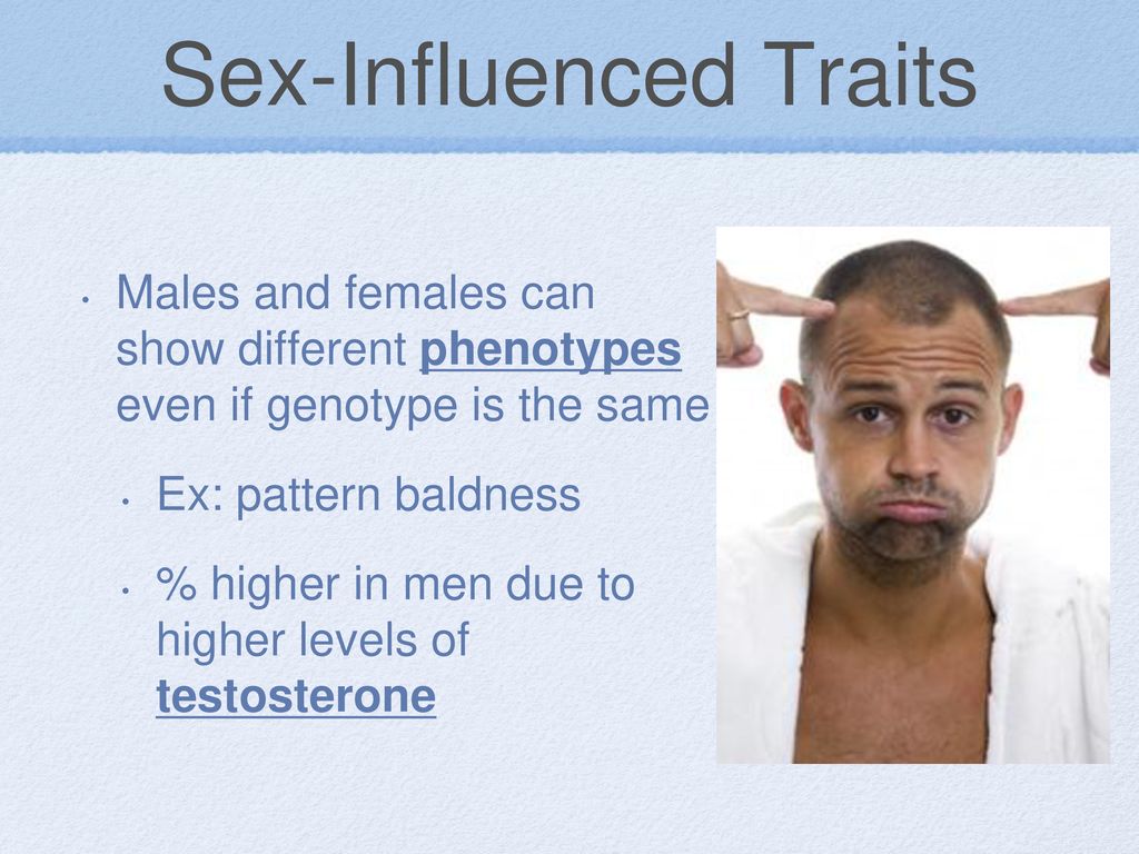 Heredity Chapter Ppt Download