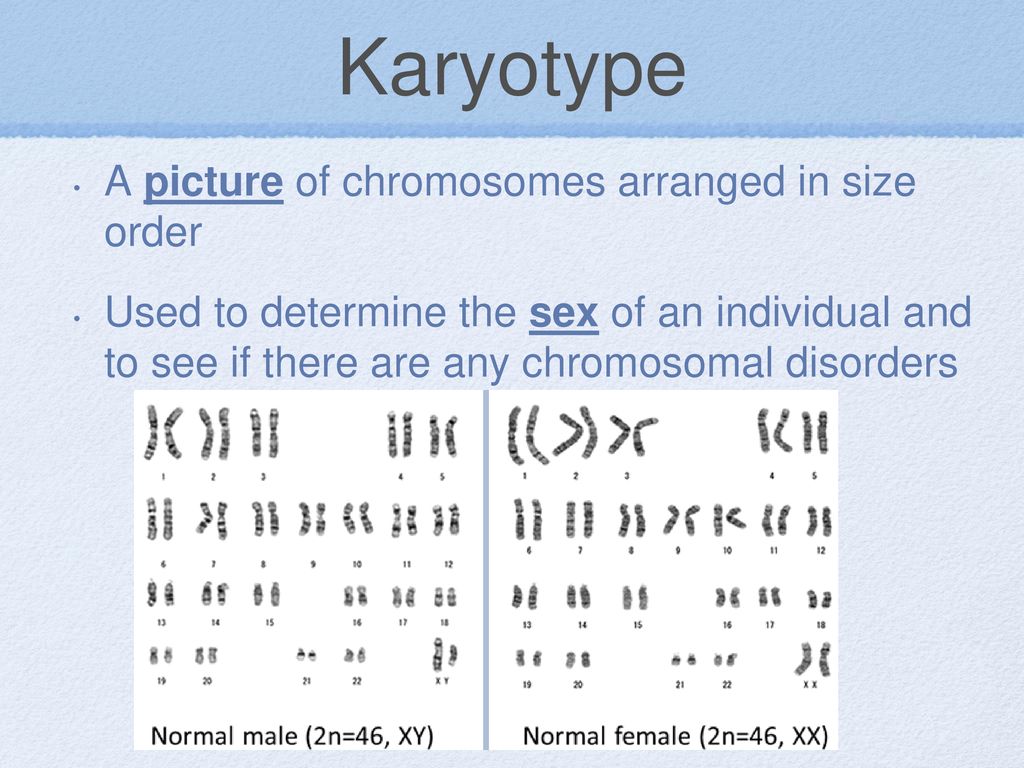 Heredity Chapter Ppt Download