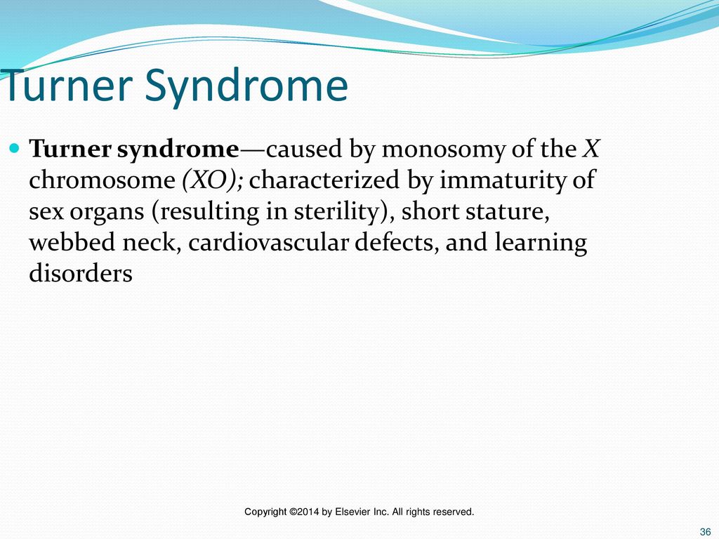 Genetics and Genetic Diseases - ppt download