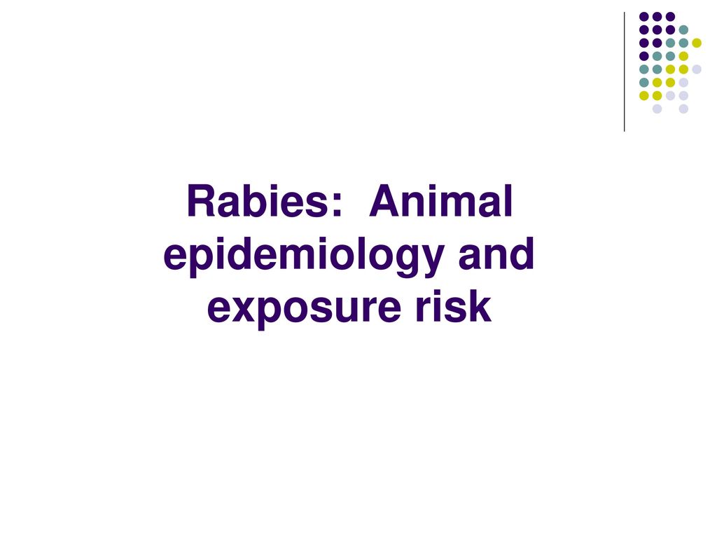 Rabies Overview Of Epidemiology Exposure Response And Law Ppt Download