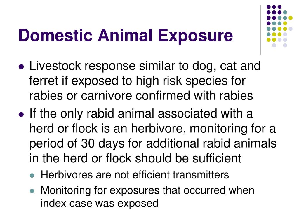 Rabies Overview Of Epidemiology Exposure Response And Law Ppt Download