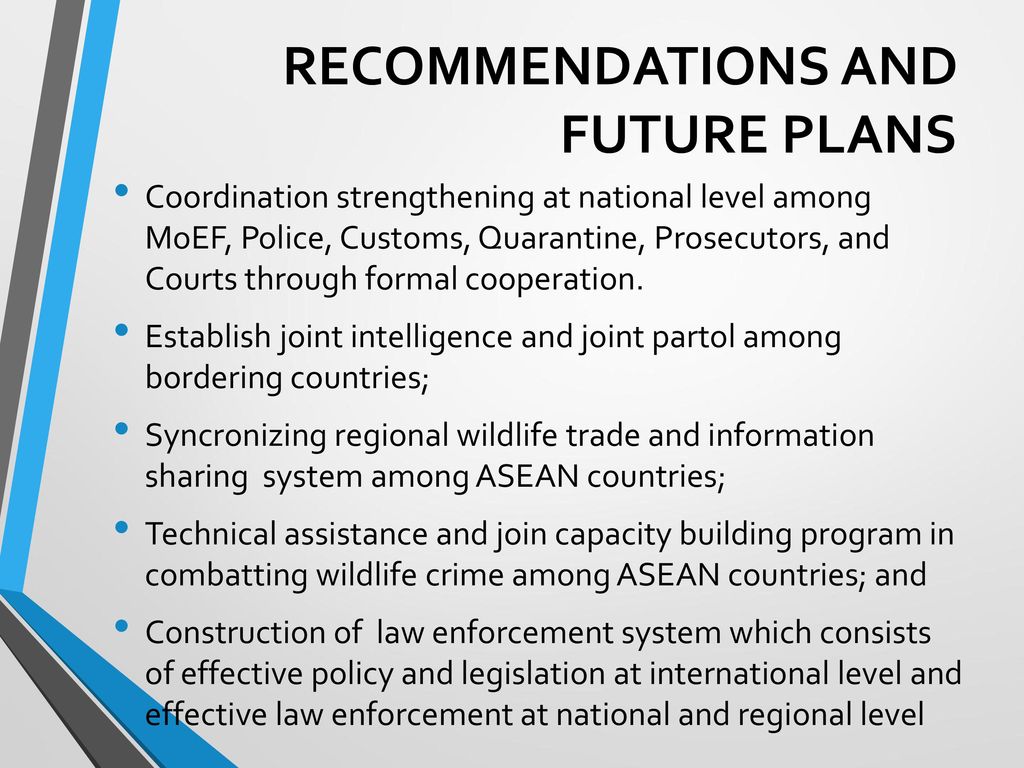 Current Status Of Indonesian Effort In Combating Illegal Wildlife Trade