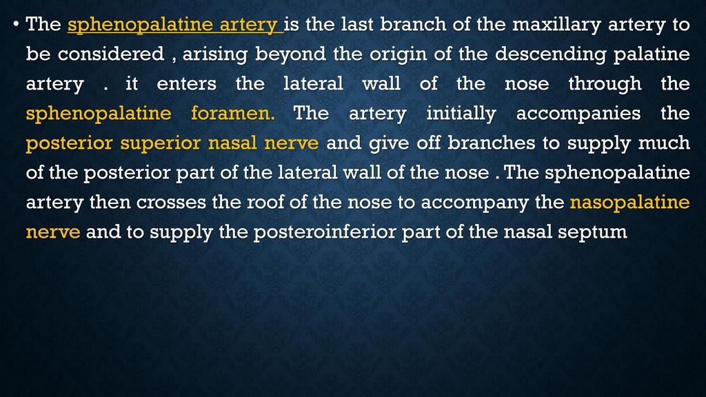 Maxillary Artery Course Maxillary Artery Course
