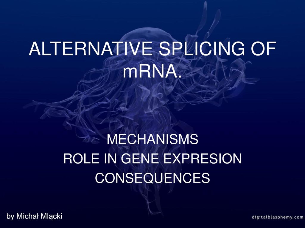 Alternative Splicing Of Mrna Ppt Download