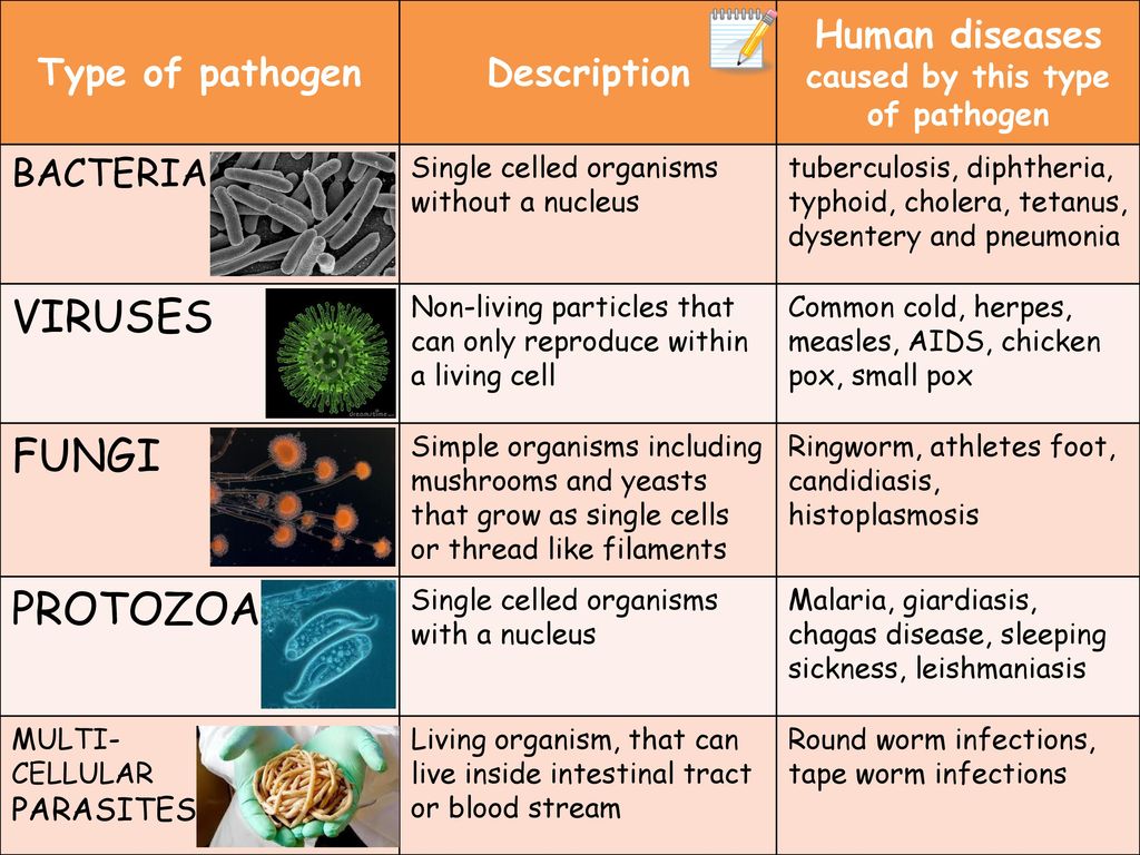 Unit 4 Immunology And Public Health Ppt Download