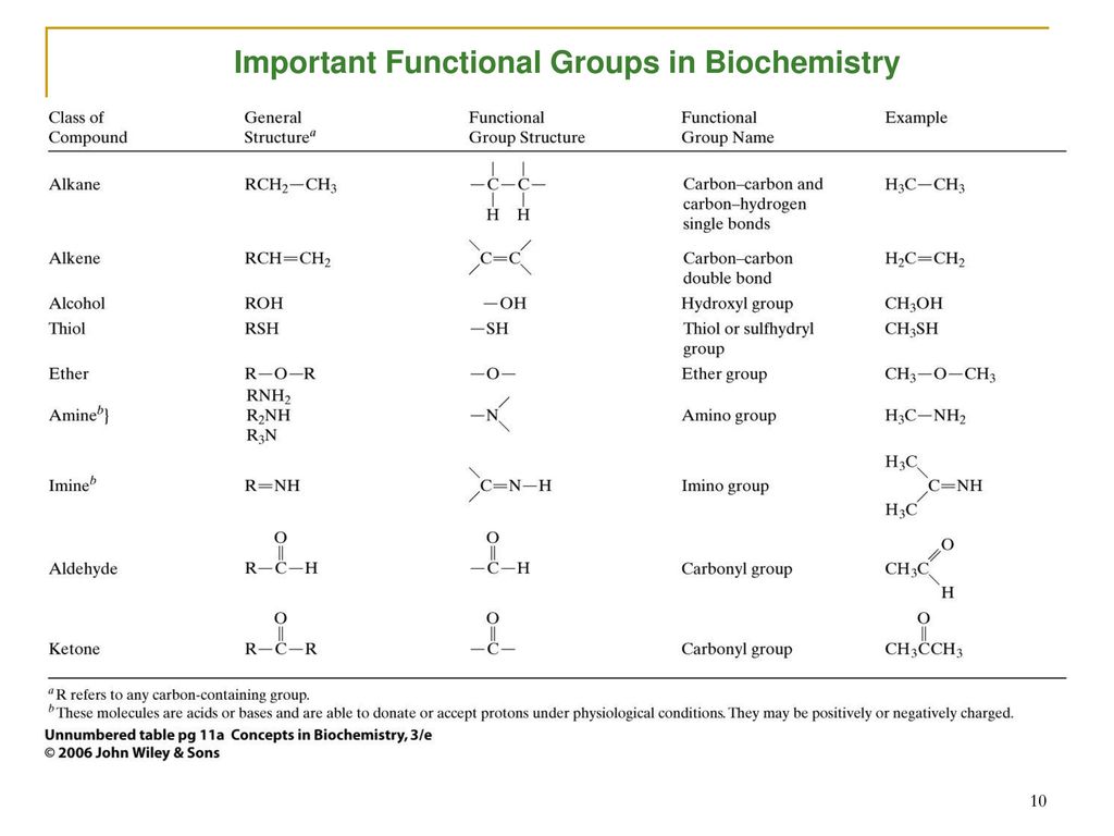 Functional Groups Biochemistry Functional Groups Biochemistry